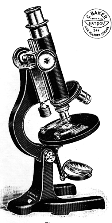 A picture containing text, oldDescription automatically generated