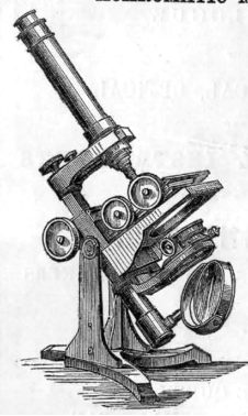 Compound achromatic microscope stand, Newton