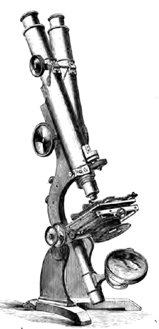 M Pillischer’s catalogue (1873)