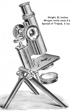 A picture containing textDescription automatically generated