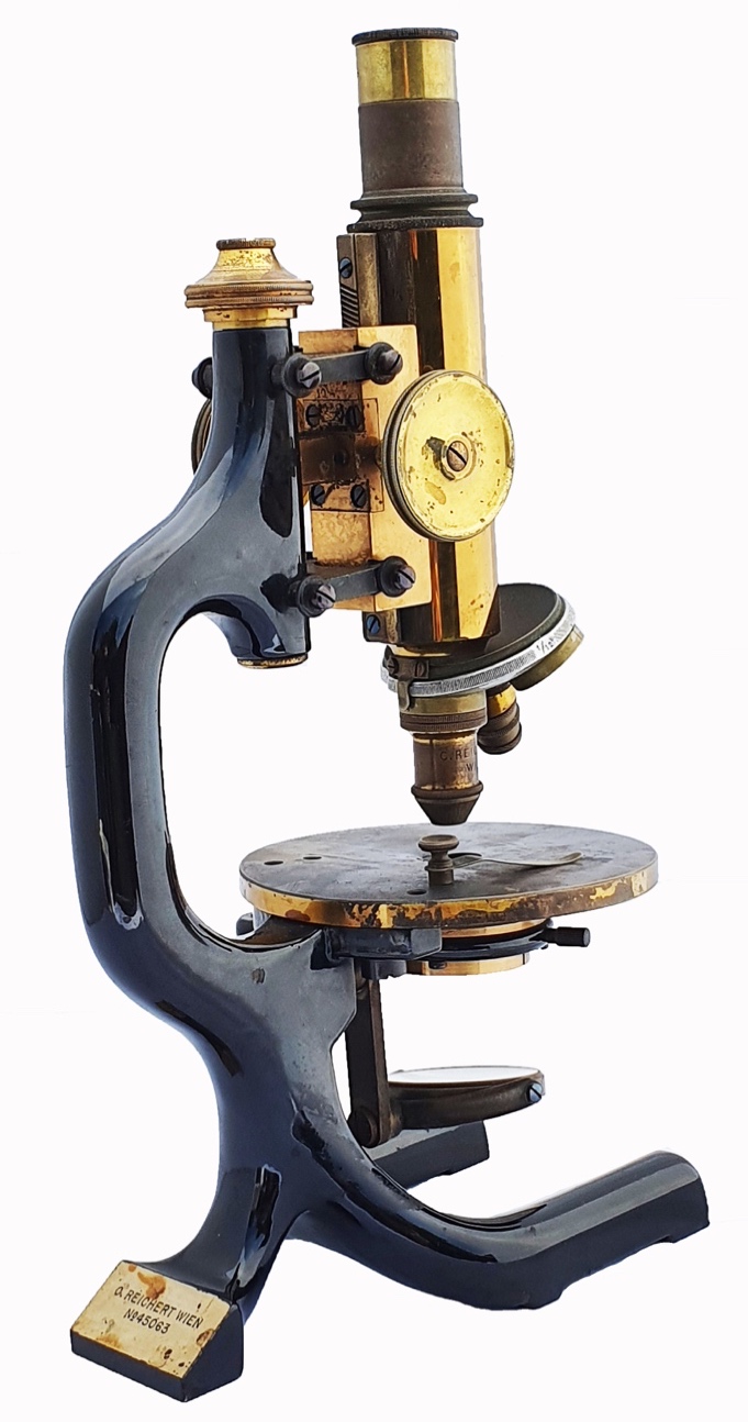 A picture containing table, sitting, front, deskDescription ...