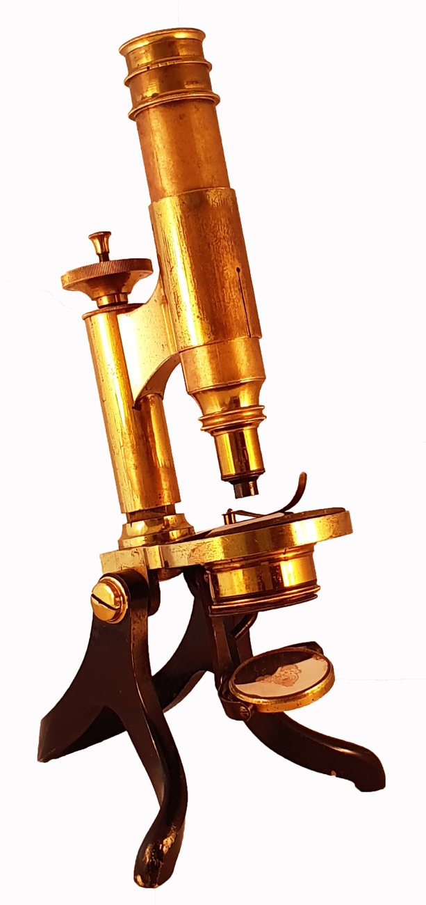 A picture containing tableDescription automatically generated