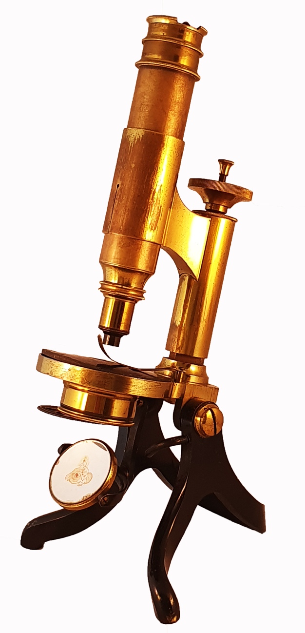 A picture containing tableDescription automatically generated