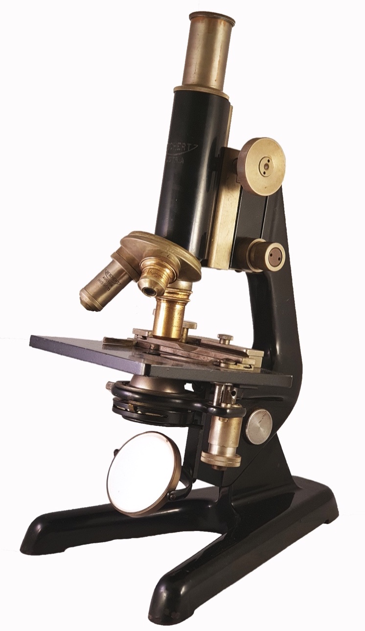 A picture containing clock, front, sitting, tableDescription ...