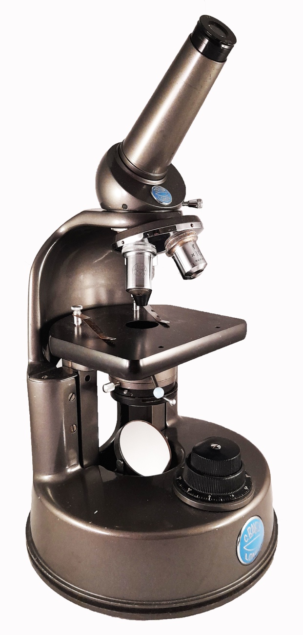 A picture containing indoorDescription automatically generated