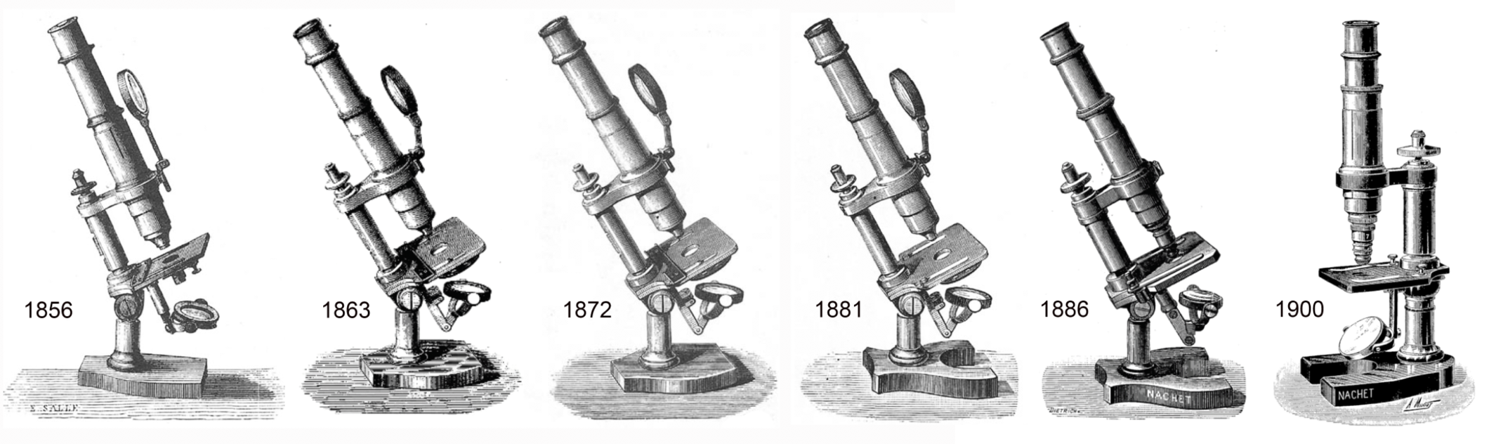 A diagram of a microscopeDescription automatically generated with low ...