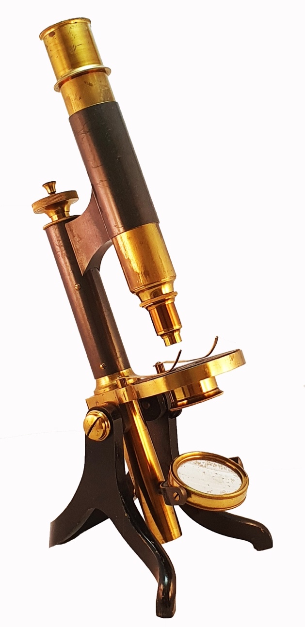 Microscope 173 (WF Stanley; late 19 th Century)