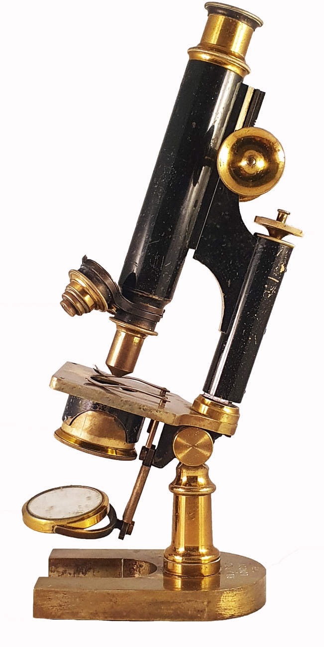 Microscope 195 (R & J Beck; compound microscope; c. 1878)