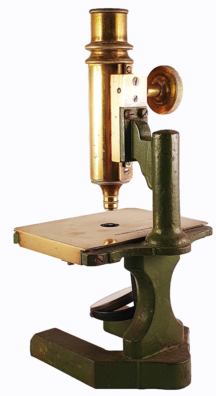 Microscope 201 (Paul Waechter; microscope – trichinoscope - stand Va; c ...