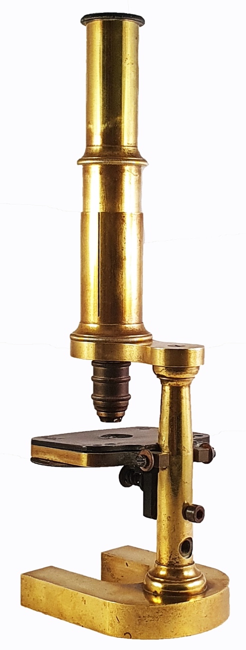 Microscope 210 (assigned to Paul Waechter; stand IV (V) microscope c. 1900)