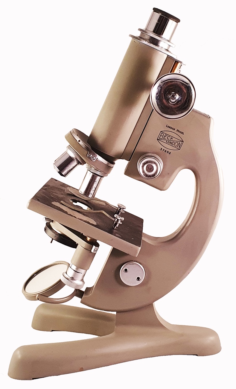 Microscope 216 (R & J Beck ; microscope model 47B; 1950s)