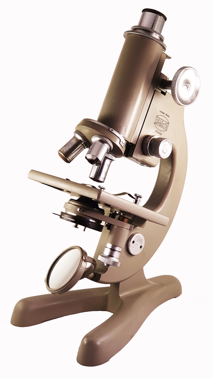 Microscope 216 (R & J Beck ; microscope model 47B; 1950s)