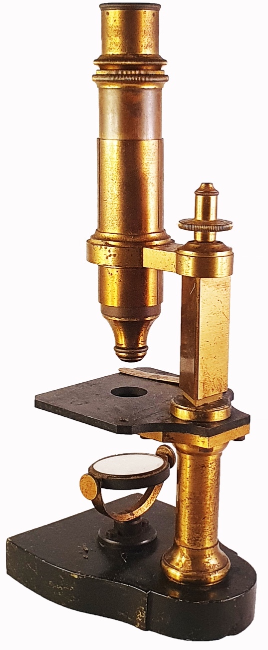 A picture containing indoorDescription automatically generated