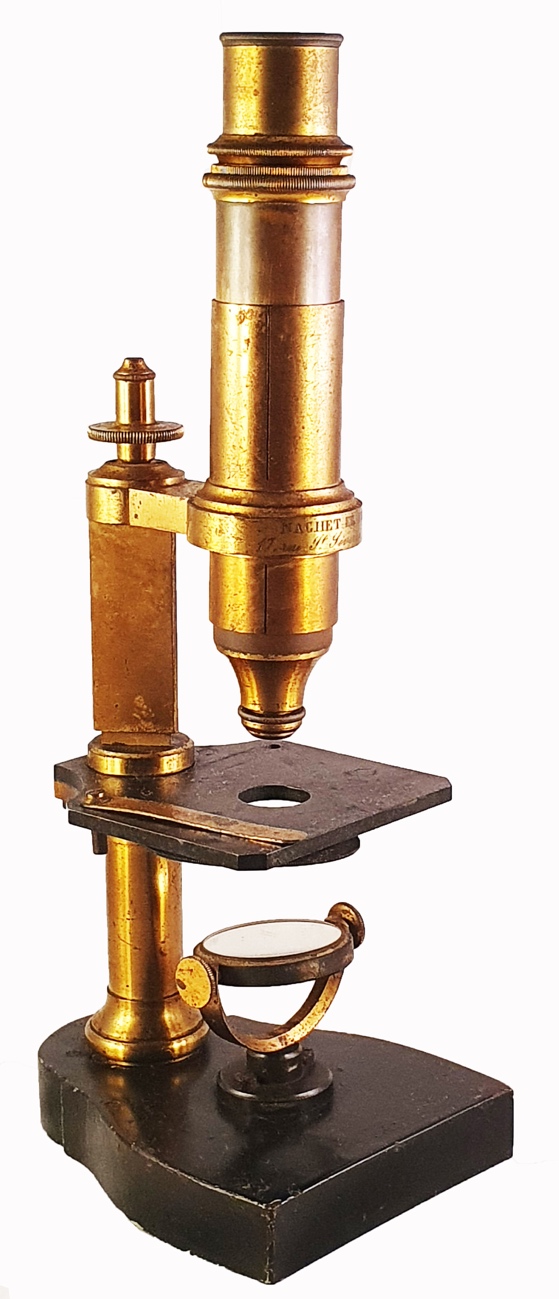 Microscope 231 (Nachet; Microscope droit; 1880s)