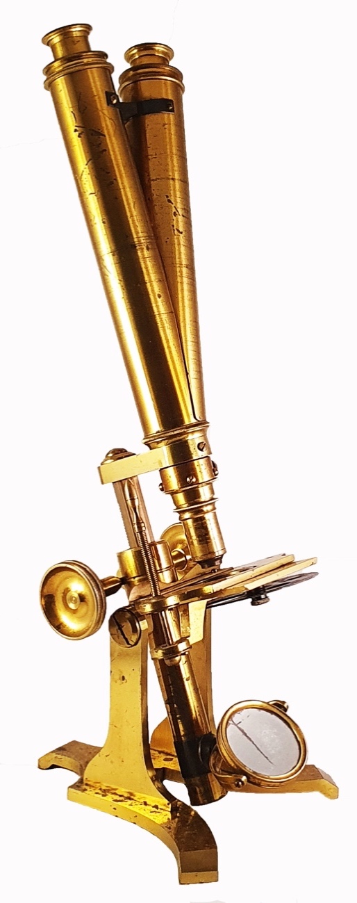 Microscope 234 (assigned to C Collins; binocular microscope; c. 1870)