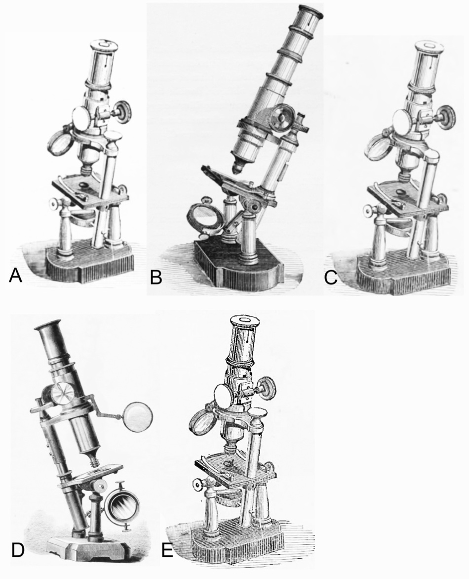 A picture containing indoorDescription automatically generated