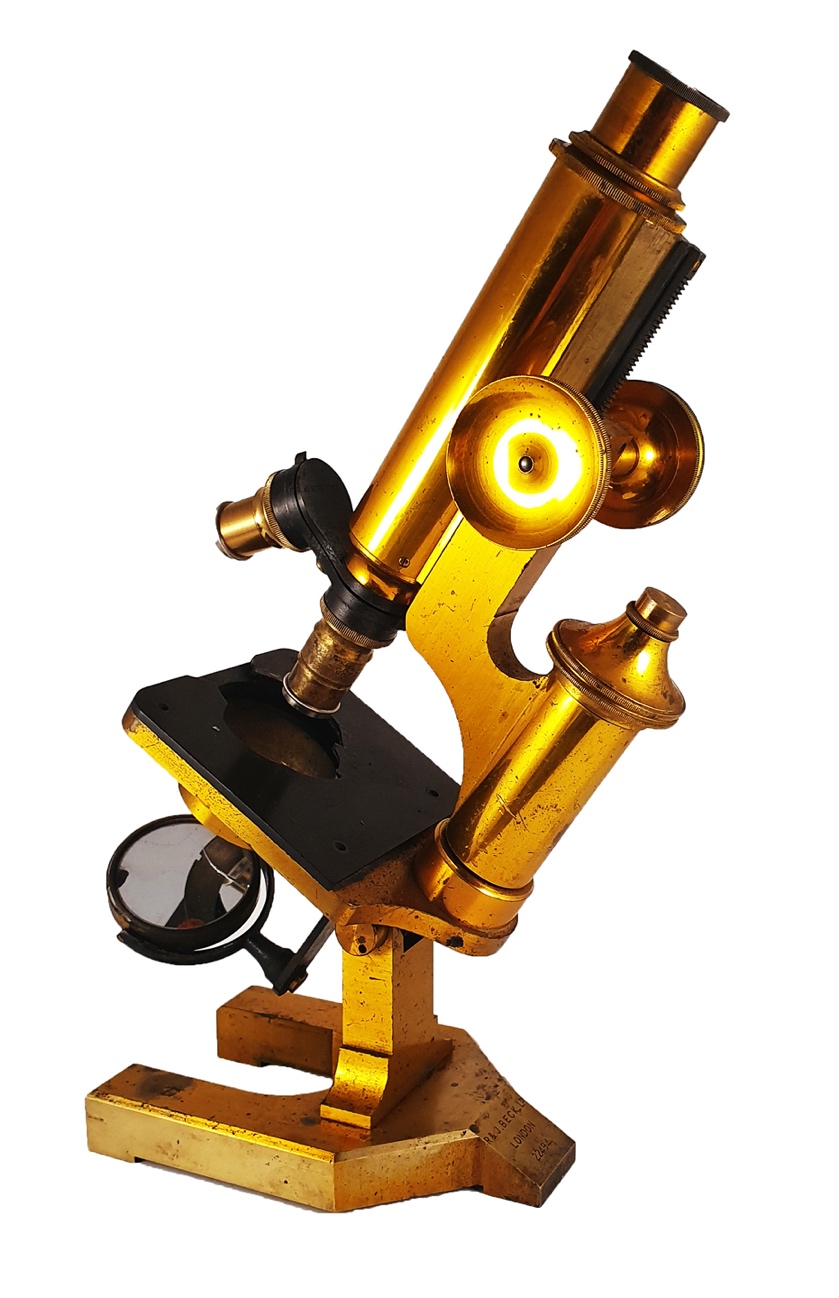 A picture containing yellow, sitting, table, bananaDescription ...