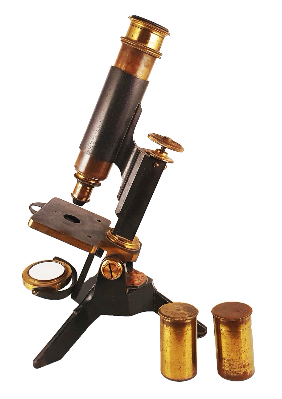 A picture containing table, plateDescription automatically generated