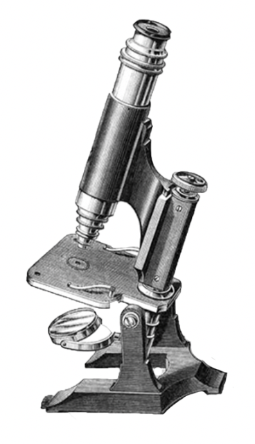 A picture containing person, board, table, holdingDescription ...