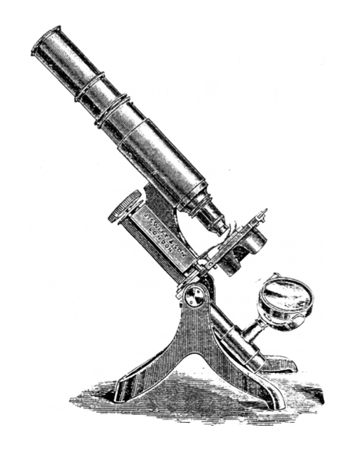 A picture containing airDescription automatically generated