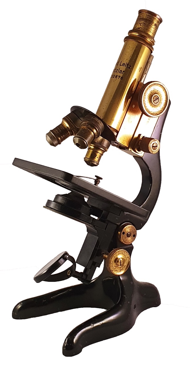 A picture containing pair, blackDescription automatically generated